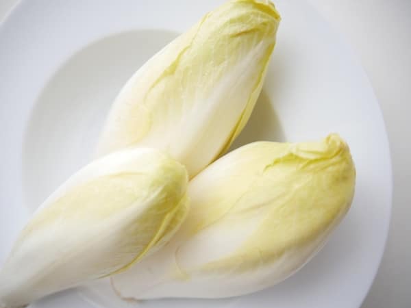 Bienfaits de la chicorée : santé et énergie - Secrets de Miel